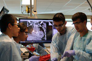 Anatomy Lab – College of Medicine