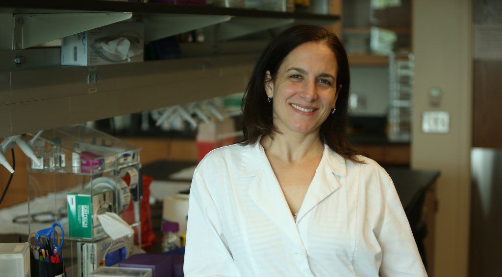 Protein May Trigger Cancer Cell’s Metabolism - College of Medicine