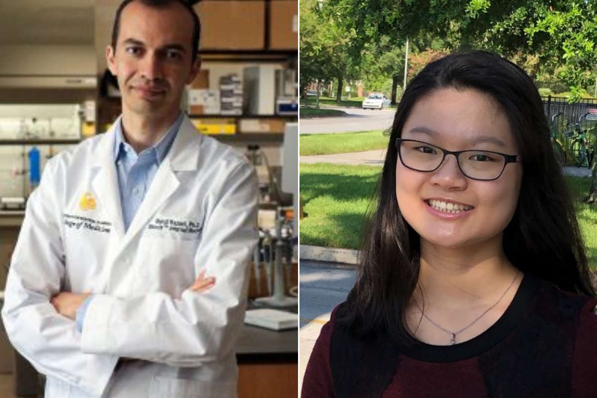 Researchers Develop Nano-based Technology to Fight Osteoporosis - College of Medicine