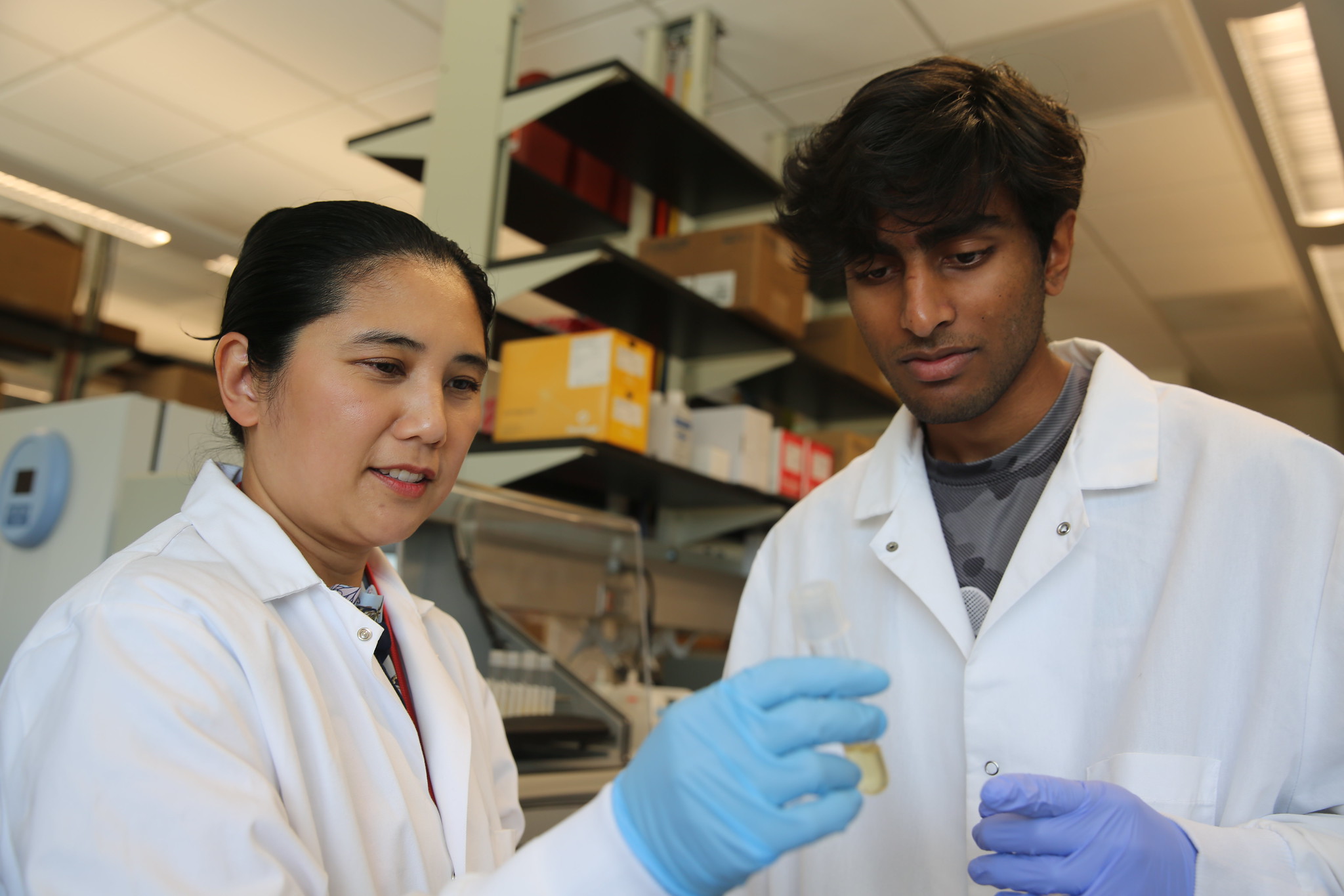 Innovative Approach Could Redefine Allergy Treatment - College of Medicine