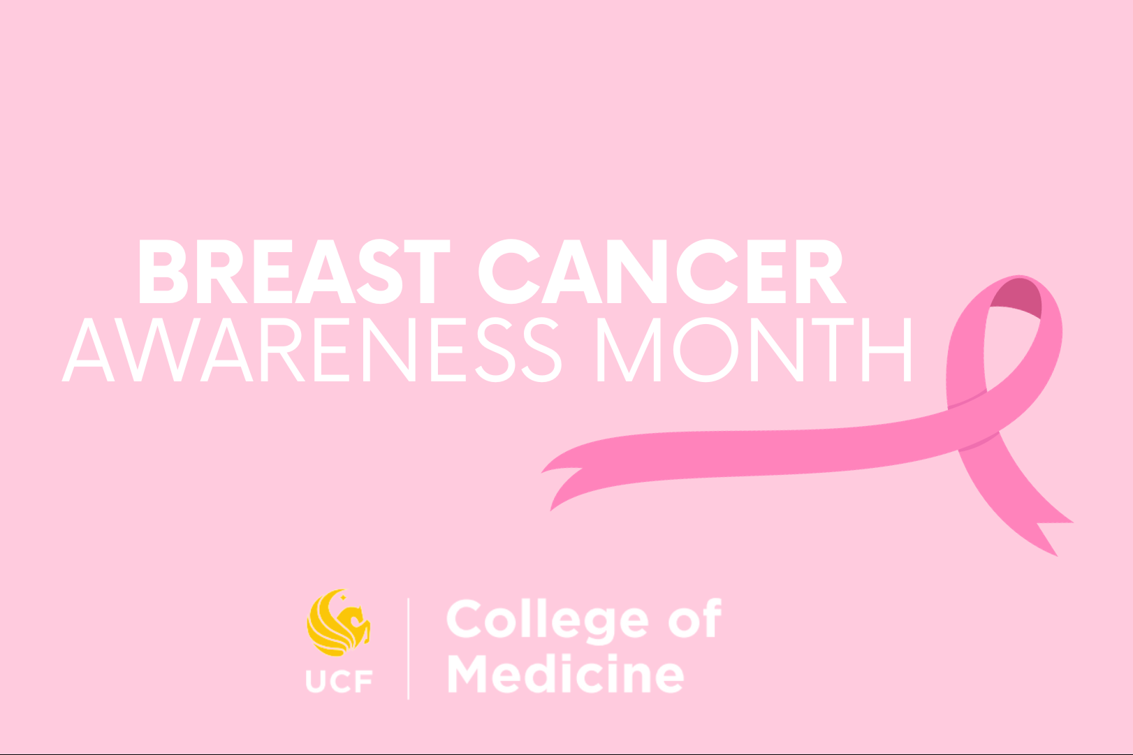 Meet 5 UCF Scientists Taking An Innovative Approach to Breast Cancer ...