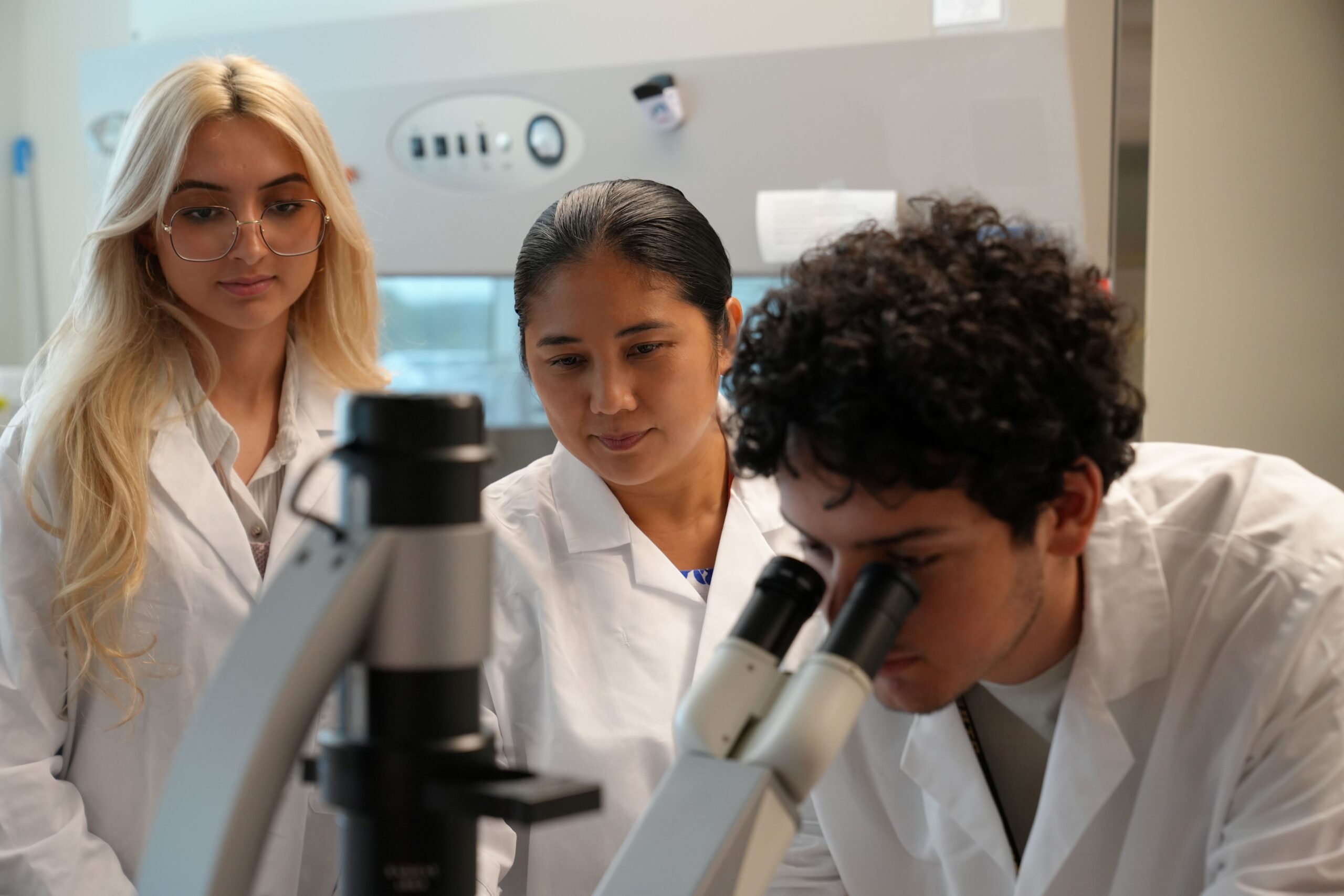 Med School Scientist Receives Prestigious Award For Inflammation ...